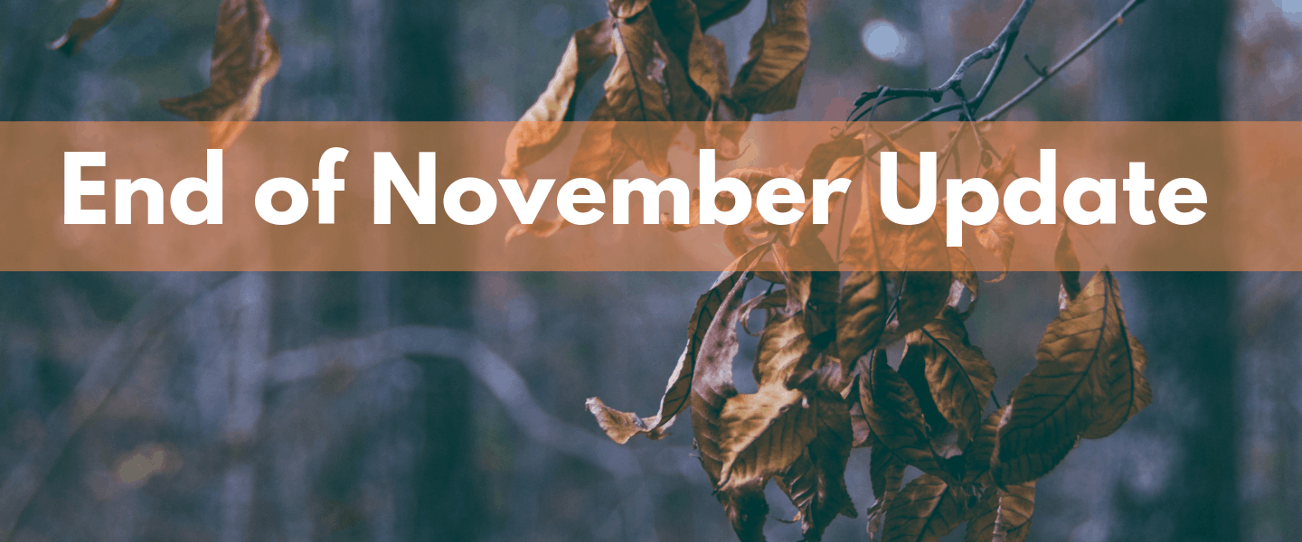 End of November Update